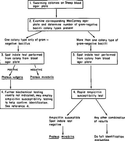 Figure 1 From The Spot Indole Test For Identification Of Swarming