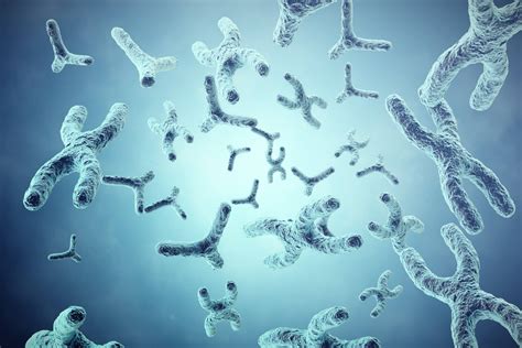 Why Is Lupus More Common Among Women Scientists Find The Answer