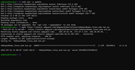 install dan konfigurasi adguard di raspberry pi linuxsec