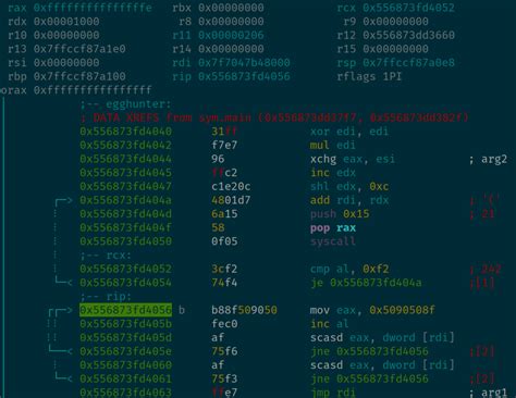 X64 Linux Egghunter Shellcode Epis Notes To Self