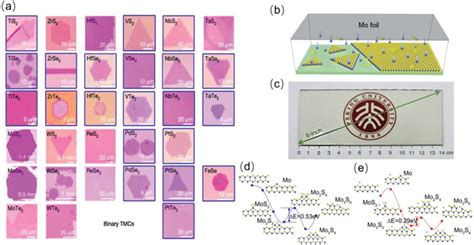 A A Library Of Tmcs Grown By Assistance Of Salt B The Schematic