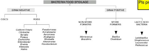 Different Bacteria Species That Can Cause Food Spoilage Download Scientific Diagram