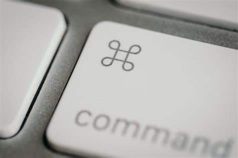 Quick Guide How To Write Markdown In Jupyter Notebooks Edlitera
