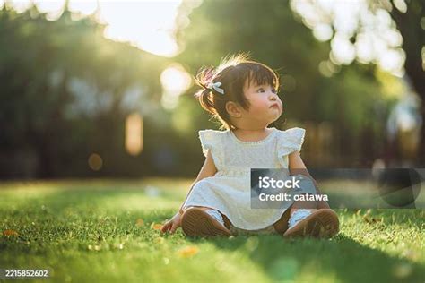 푸른 잔디밭에 앉아 있는 행복한 작은 아시아 아기 소녀 여름 동안 뒤뜰 정원에서 자연 탐험 햇빛 일몰 학습 성장 및 야외 재미 6 11 개월에 대한 스톡 사진 및 기타
