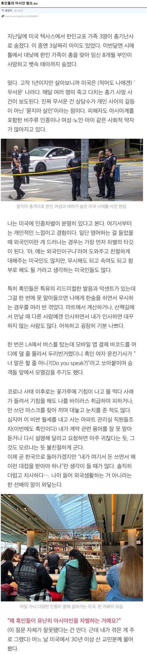 란 글의 졸렬한 실체 DogDrip Net 개드립