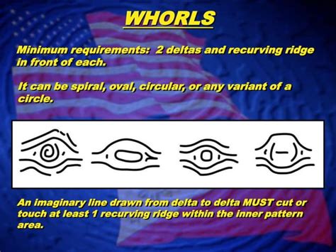 Whorl Patterns PPTX