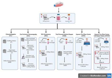 Schematic Overview Of Experimental Workflow For Ev Isolation Methods