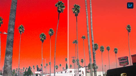 Terminator Edit Photoshop Lightroom