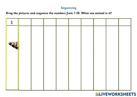 Coding Sequencing Worksheet Live Worksheets