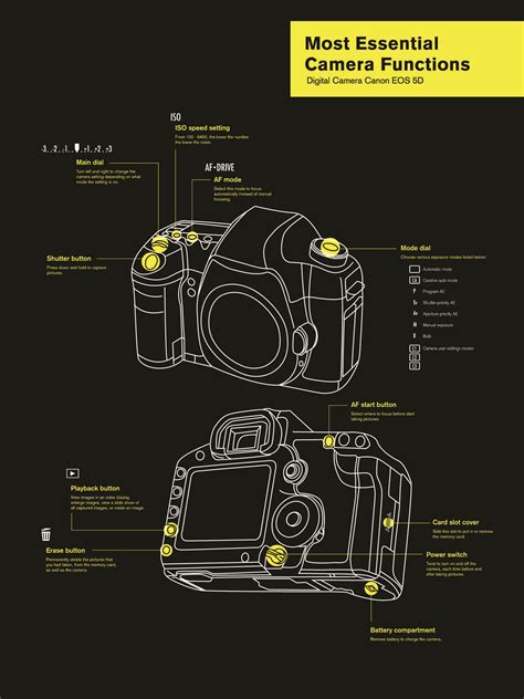 How To Use A Dslr Camera Infographic Best Infographic Vrogue Co