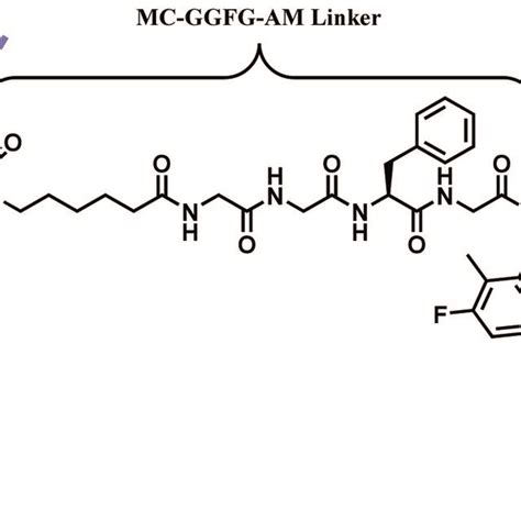 Structure Of Enhertu™ Antibody Trastuzumab Download Scientific Diagram