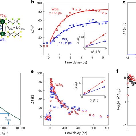 Lattice Dynamics In A Photoexcited Wse2 Ws2 Heterojunction A
