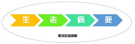 干货 Elasticsearch 索引生命周期管理 Ilm 实战指南 Csdn博客