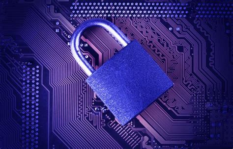 lighthouse labs on linkedin experts see growing need for cybersecurity