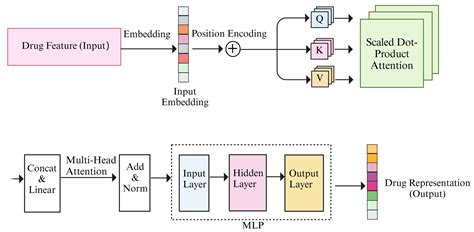 Mtrans M Transformer And Knowledge Graph Based Network For Predicting Drugdrug Interactions