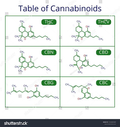 Thc Molecular Structure