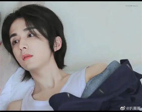 张新成裴溯款限定皮肤