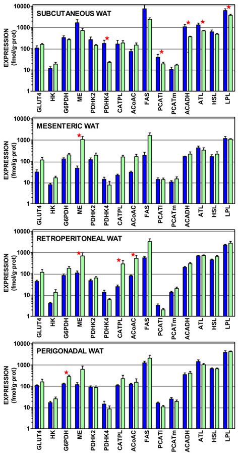 Effects Of Sex And Site On Amino Acid Metabolism Enzyme Gene Expression