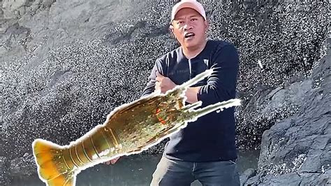 阿生为了赶大潮冒着大雨盘大坑，超大鳗鱼八爪鱼纷纷上岸乱窜，鱼货大卖2000多过瘾！【赶海阿生】 Youtube