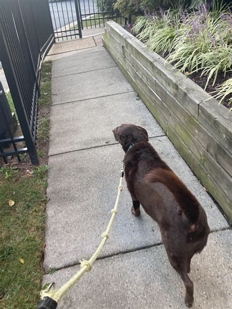 Teacher Tuesday Ryan Rowles Dhs Press