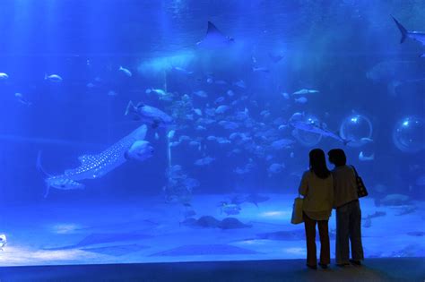 のとじま臨海公園水族館
