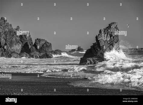 Surf And Sea Stacks At Ruby Beach In Olympic National Park Washington