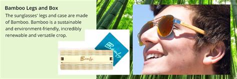 Buy Bamfy Venice Uv400 Sunglasses With Bamboo Legs And Case Seamless