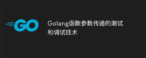 Golang函数参数传递的测试和调试技术 叮当号
