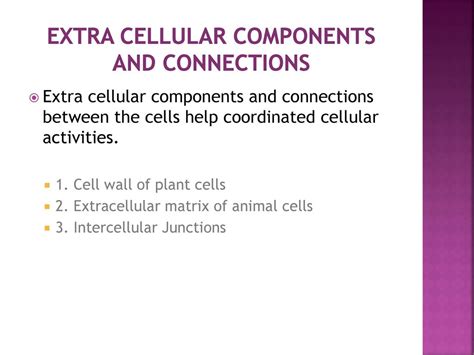 Extra Cellular Components Ppt Download