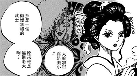 海贼王花魁小紫身份曝光她会爱上路飞女帝汉库克压力山大 哔哩哔哩
