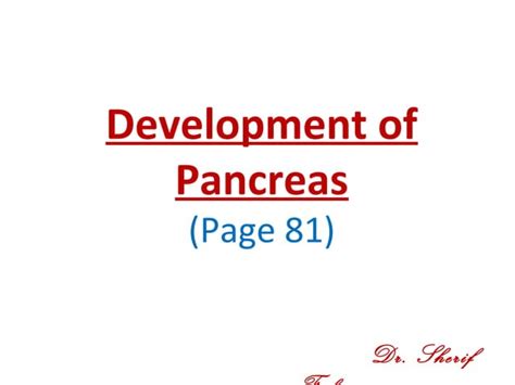 Development Of Duodenum Special Embryology Pps Pregnancy