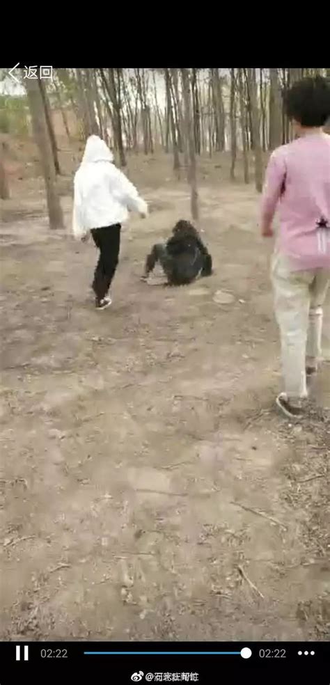 网传“几名小女孩被同学侮辱暴打”视频！真实情况是这样的 搜狐大视野 搜狐新闻