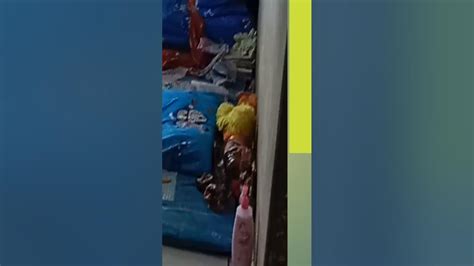 Ngintip Adik Kecil Eldisa Pas Lagi Di Kamar Sendirian Youtube Ngintip Adik Kecil Eldisa Pas Lagi Di Kamar Sendirian Youtube