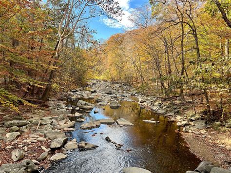 Jade Macmillan Jade Macmillan • Instagram Photos And Videos