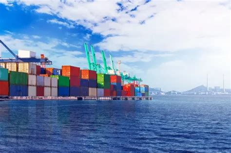 Yurt dışına e fatura kesilebilir mi Paraşüt Paraşüt