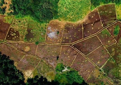 Polygon Geospatial On Linkedin Our Solutions For All Your Drone Based