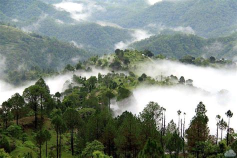 Surkanda Devi Trek Vagabond Holidays Weekens Trip Near Delhi Ncr
