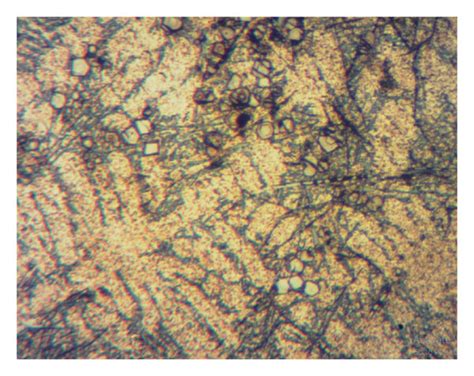 A B Optical Micrographs Of Lm6 Al Alloy Hybrid Composites With 5 Of Download Scientific