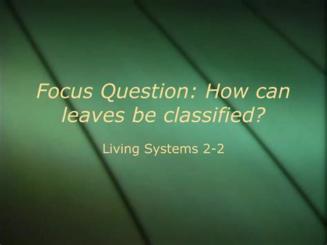 Leaf Classification Combined Ppt