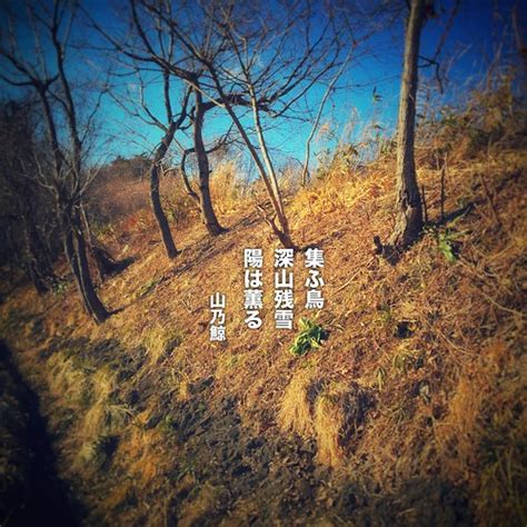 Haiku Photohaiku Poetry Sp Flickr