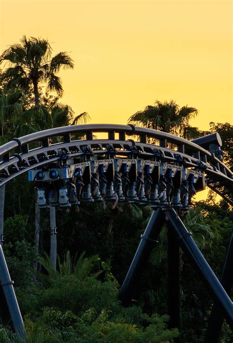 The New Bandm Inverts Look Sweet Rrollercoasterjerk