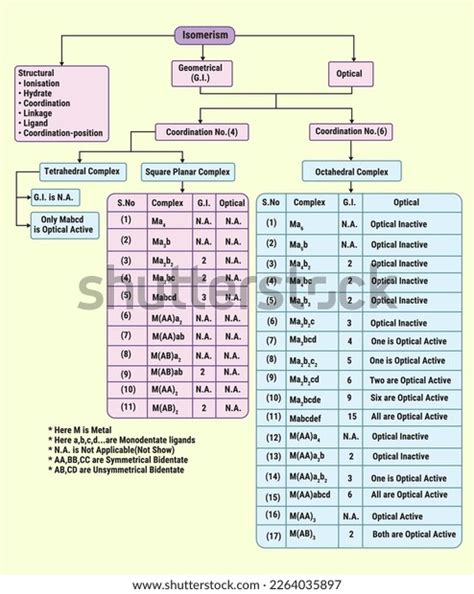 Mind Map Flow Chart Isomerism Stock Vector Royalty Free 2264035897 Shutterstock