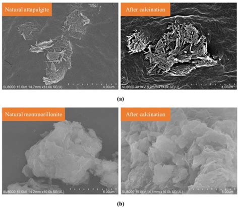 Exploration Of The Compressive Strength And Microscopic Properties Of Portland Cement Taking