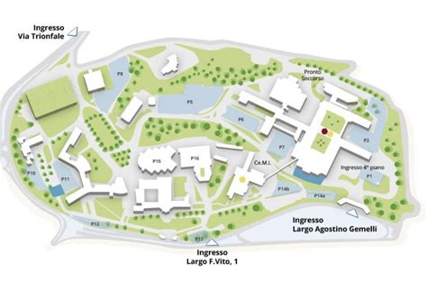 Mappa Del Policlinico Gemelli Policlinico Universitario Agostino Gemelli Irccs