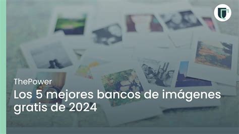 Los 5 mejores bancos de imágenes gratis de 2024