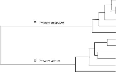 Dendrogram Generated Using Upgma Analysis Based On Jaccards