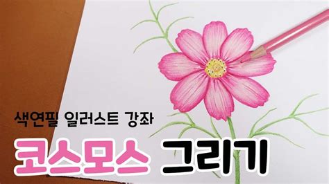 ★차근차근 따라 그리는 코스모스 일러스트 How To Draw Flowers 색연필 일러스트 색연필 색연필 그림