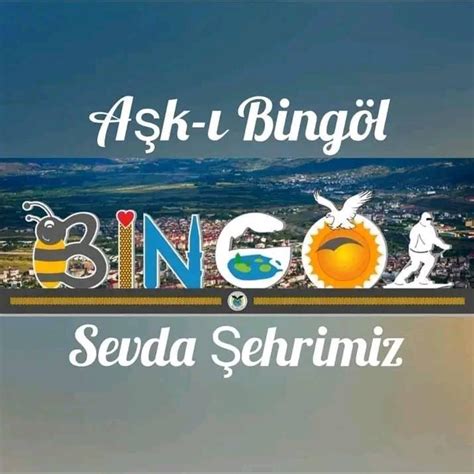 Bingol 12