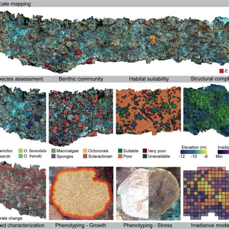 Reefscape Genomics Characterizing The Underwater Landscape Conceptual