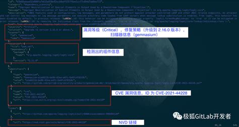 极狐gitlab Devsecops 精准扫描 Apache Log4j 2 安全漏洞 知乎